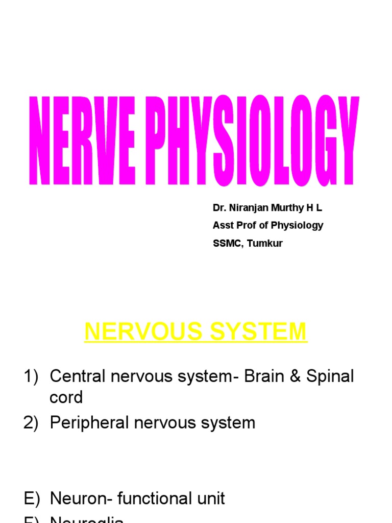 Nerve Physiology | PDF | Neuron | Axon