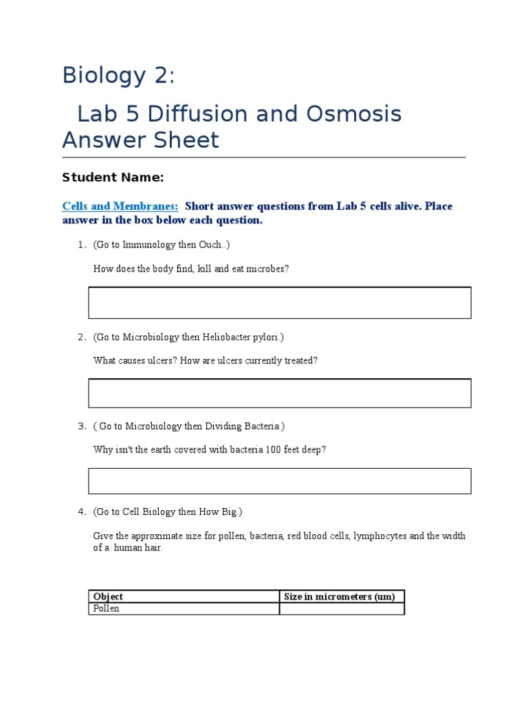 Diffusion and Osmosis Lab Answer Sheet Lab 5 | PDF | Dialysis | Osmosis