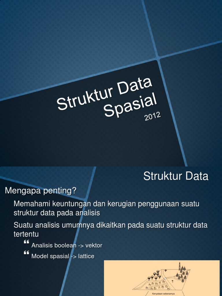 Kuliah 1 - Struktur Data Spasial | PDF | Contour Line | Spatial Analysis