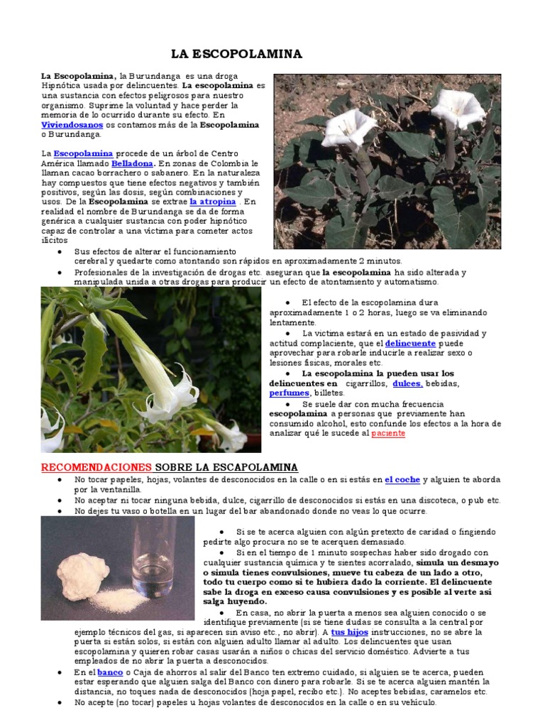 La Escopolamina | PDF | Drogas | Bienestar