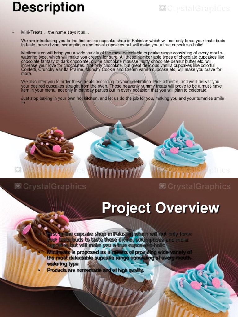 Starting an Online Cupcake Business in Pakistan: A Business Plan for ...