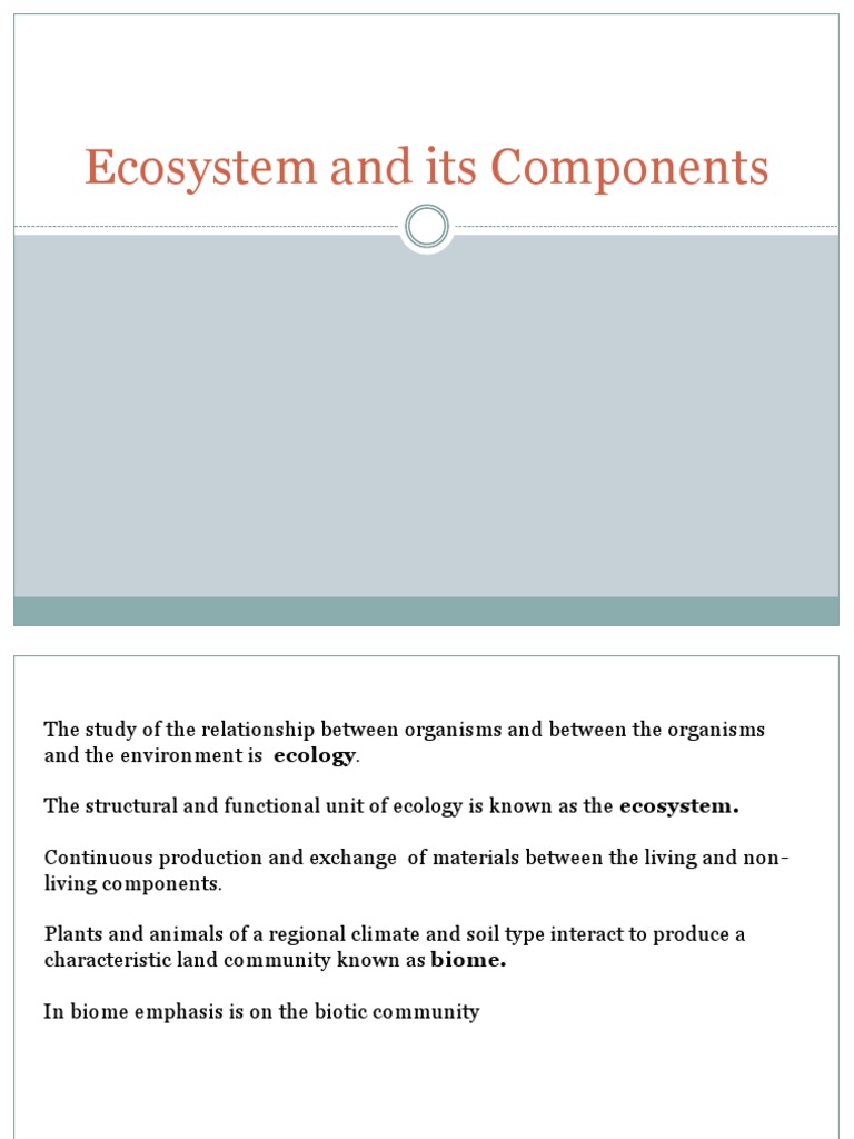 Ecosystem And Its Components Pdf Food Web Ecology