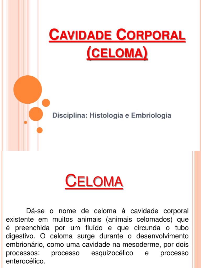 Cavidade Corporal (Celoma) | PDF