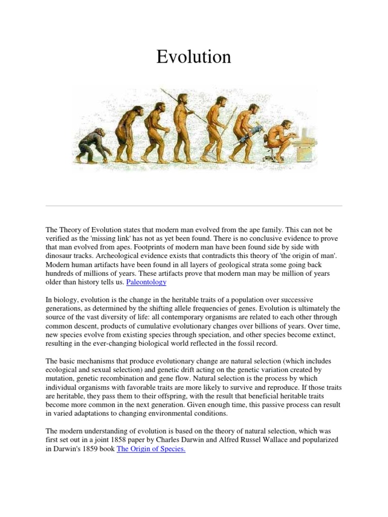 Evolution: Paleontology | Download Free PDF | Homo | Evolution