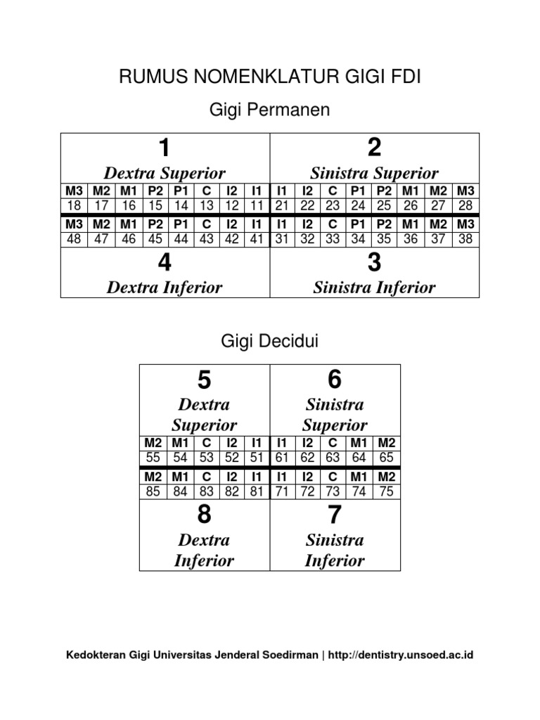 Rumus Nomenklatur Gigi FDI | PDF