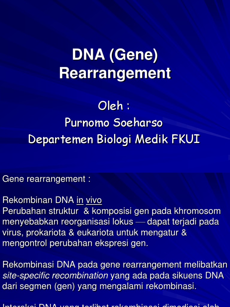 DNA (Gene) Rearrangement | PDF