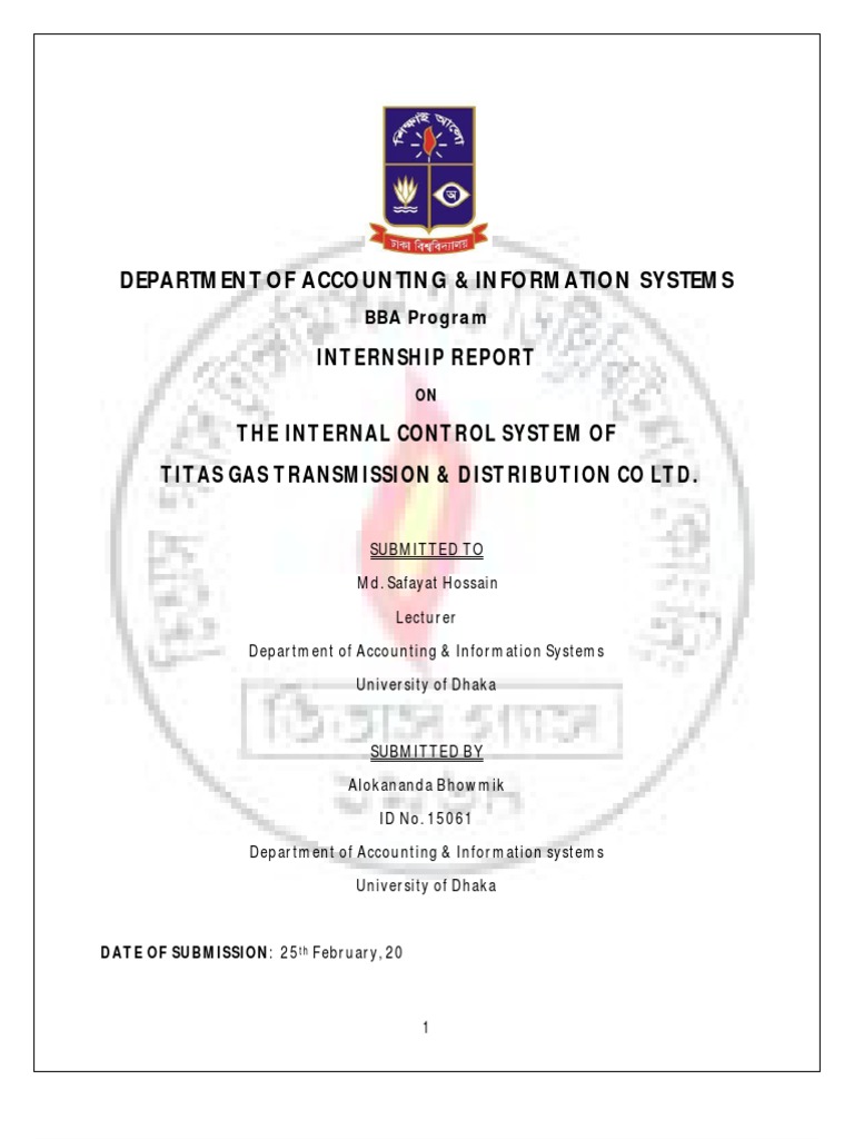 Internship Report Draft PDF | PDF | Internal Control | Internal Audit