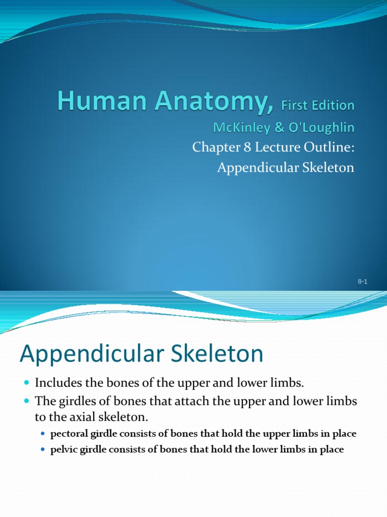 Human Anatomy. The Human Skeleton | PDF