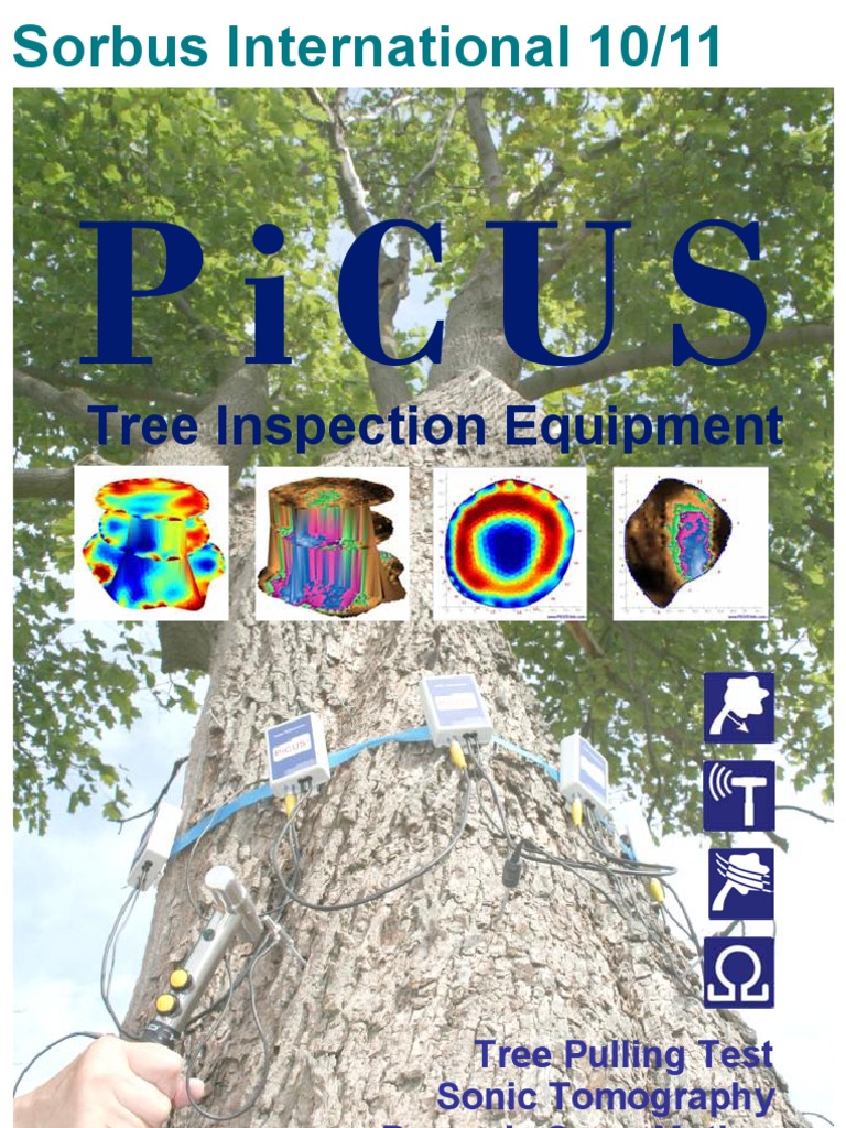 PiCUS Tree Inspection Range 2011 - 06 - Sorbus | PDF | Tomography | Wood