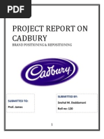Cadbury Chocolate Production Process | PDF | Cocoa Bean | Chocolate