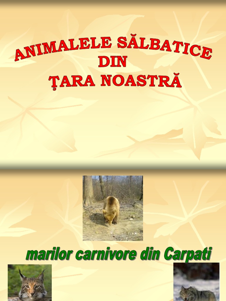 Animale Salbatice Din Romania | PDF