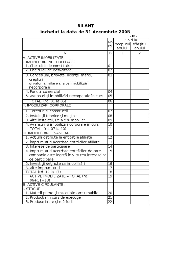 Format Bilant | PDF