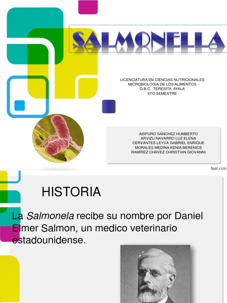 Microbiología de los alimentos: Salmonella, características, importancia y prevención | PDF ...
