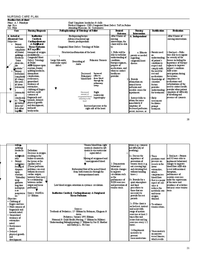 Ncp 2 | Congenital Heart Defect | Congenital Disorder