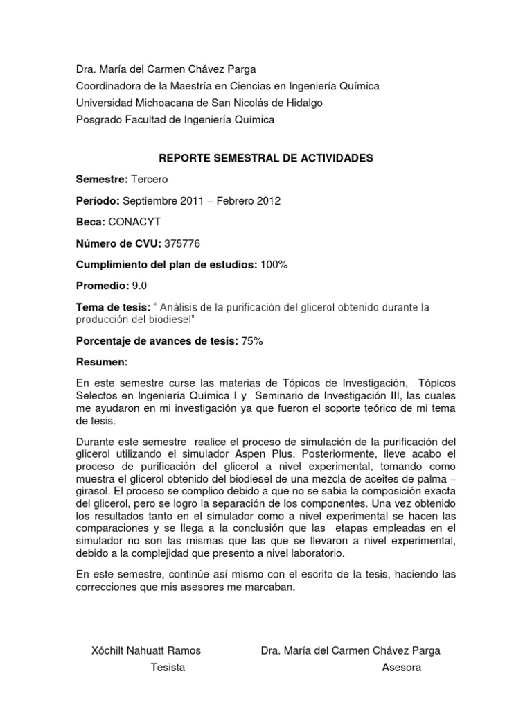 Ejemplo-Reporte Semestral Conacyt | PDF