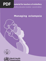 WHO Partograph Example | PDF | Public Health | Human Reproduction