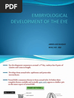 Seidel's Test | PDF | Human Eye | Medical Specialties