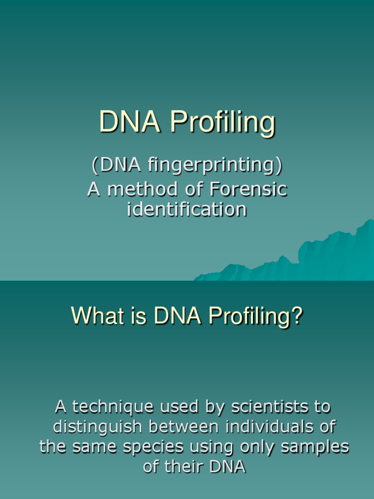 DNA Fingerprinting DNA Profilingpowerpoint | PDF | Dna Profiling ...