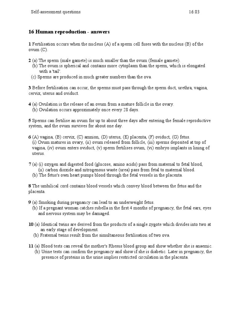 Human Reproduction Answers | PDF | Human Reproduction | Reproductive System