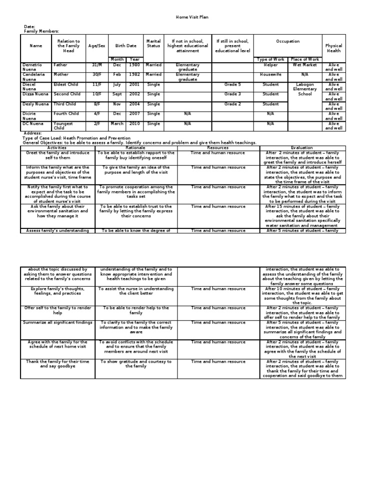 Home Visit Plan2.doc | Nursing | Understanding