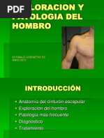 Apófisis Coracoides | PDF | Hombro | Extremidades (anatomía)