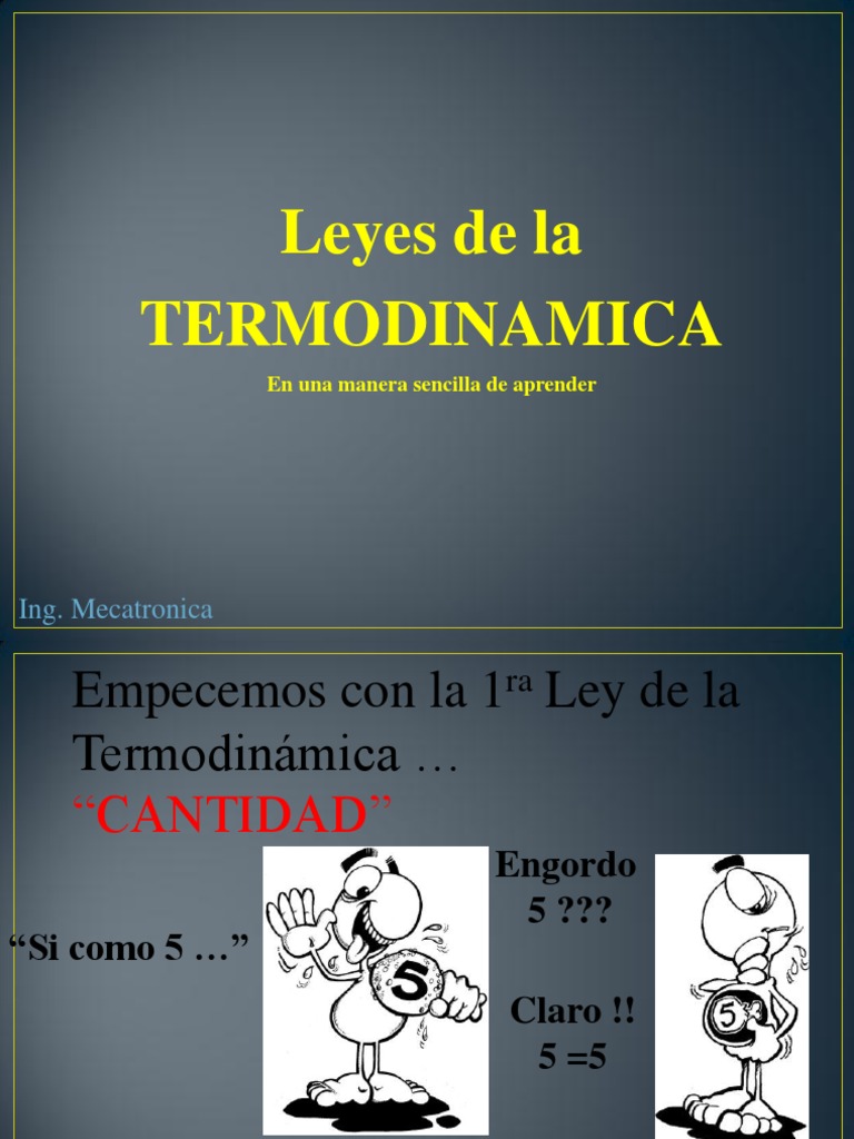 Leyes de La Termodinamica PDF | PDF | Termodinámica | Universo físico