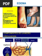 Edema Intracelular y Extracelular | PDF | Edema | Sodio