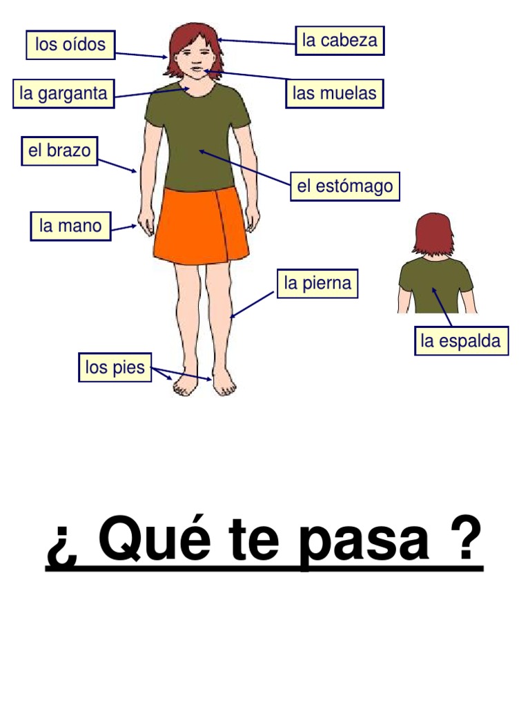 El Verbo Doler y El Cuerpo Humano | PDF