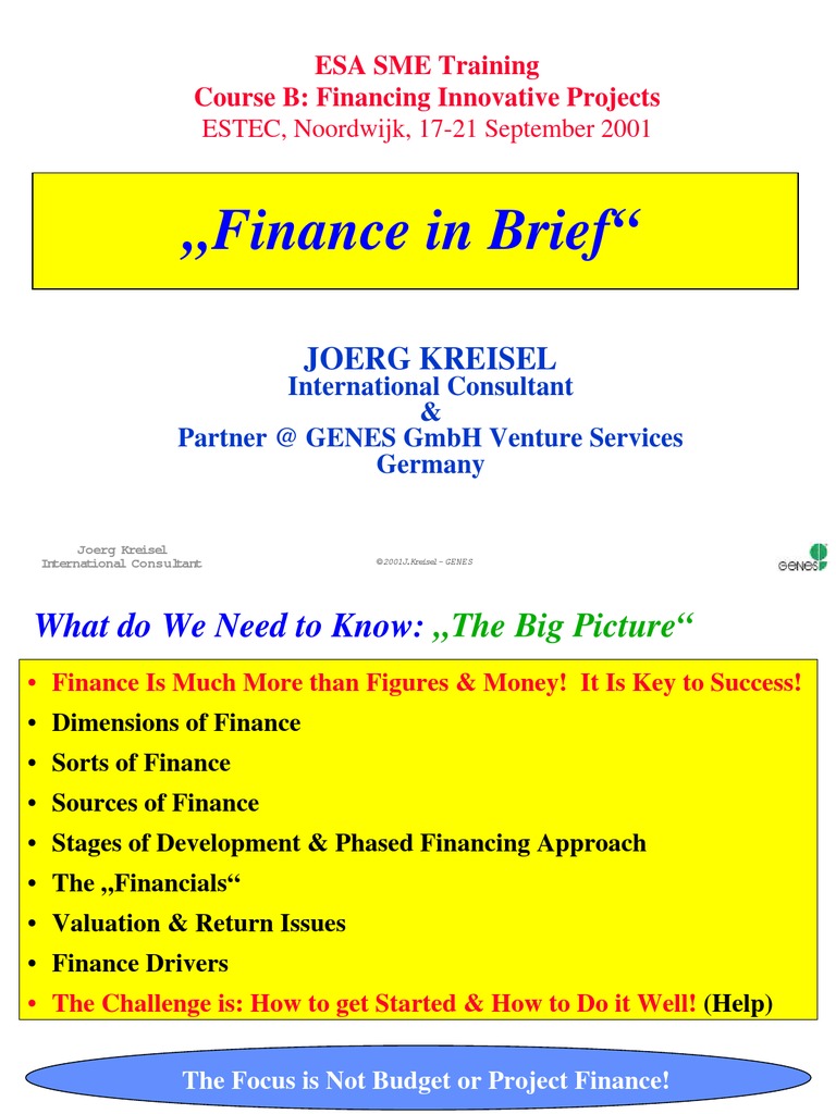 Finance in Brief | PDF | Valuation (Finance) | Stocks