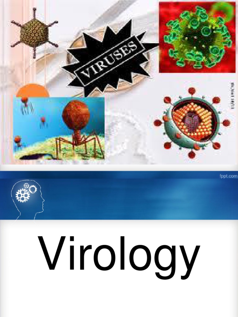 Virology | Virus | Virology