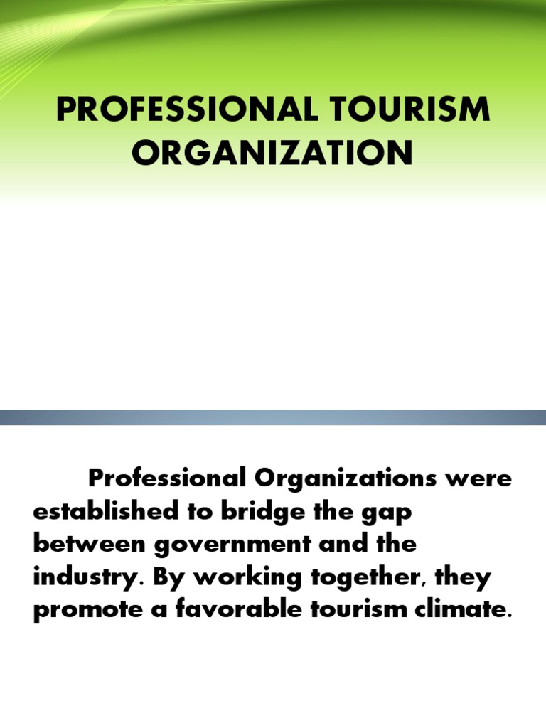 Professional Tourism Organization1 Final | Tourism | Travel Agency