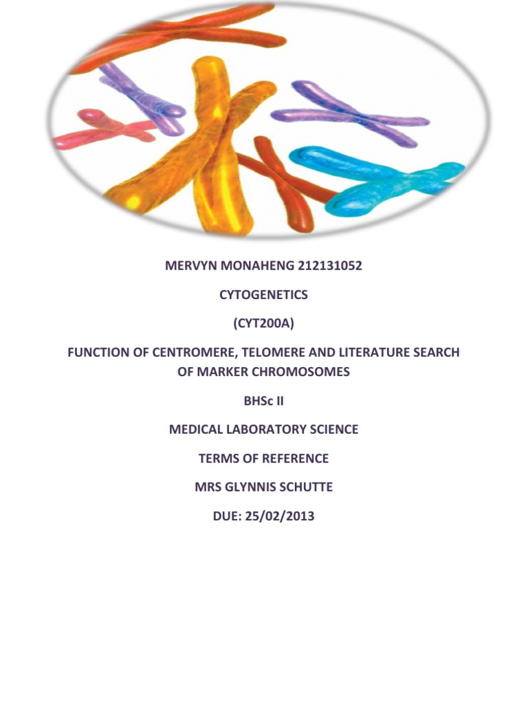 Functions of Centromere, Telomere and Marker Chromosomes | Telomere ...