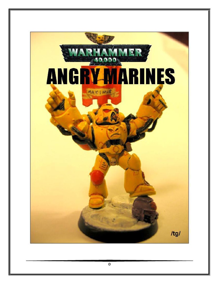 History of the Angry Marines | PDF | Unrest | Nature