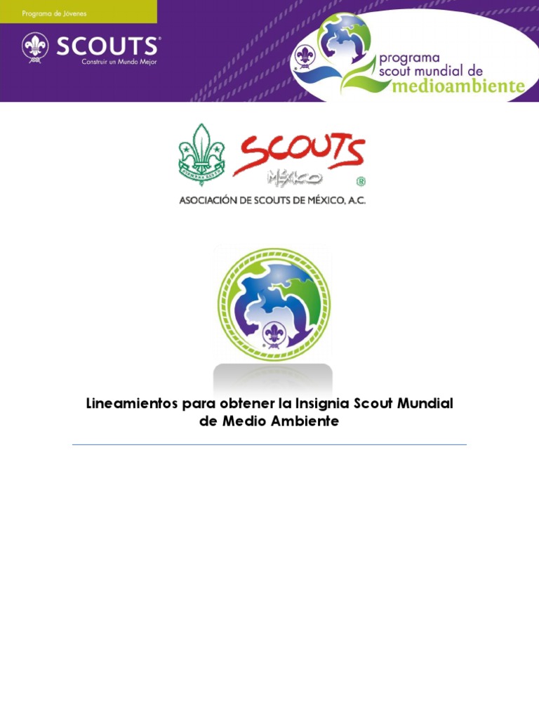 Lineamientos para Obtener La ISMMA PDF | PDF | Exploración | Aprendizaje