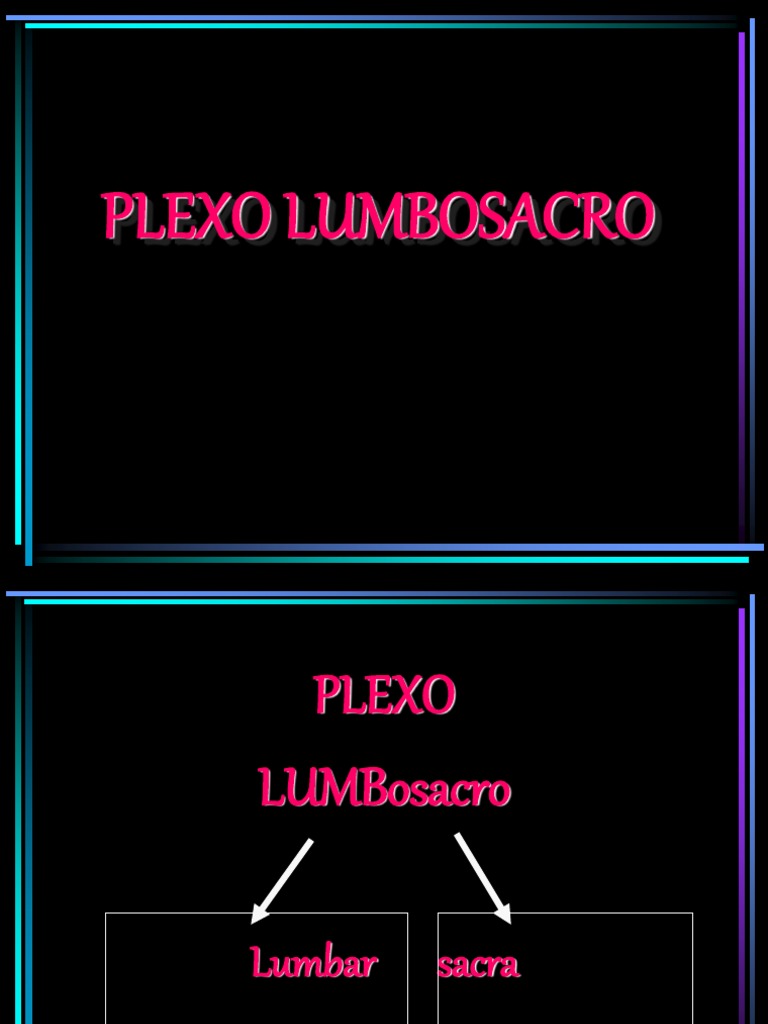 Anatomía del Plexo Lumbosacro | PDF | Pie | Sistema musculoesquelético