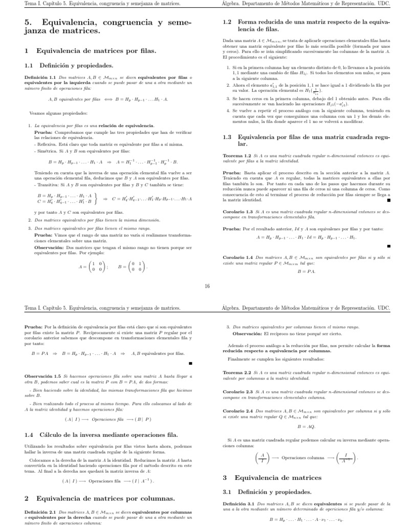 Matrices Equivalentes | PDF | Matriz (Matemáticas) | Campo (Matemáticas)