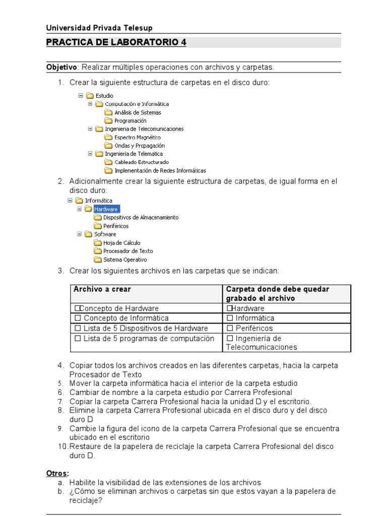 Practica de Laboratorio 4 | PDF