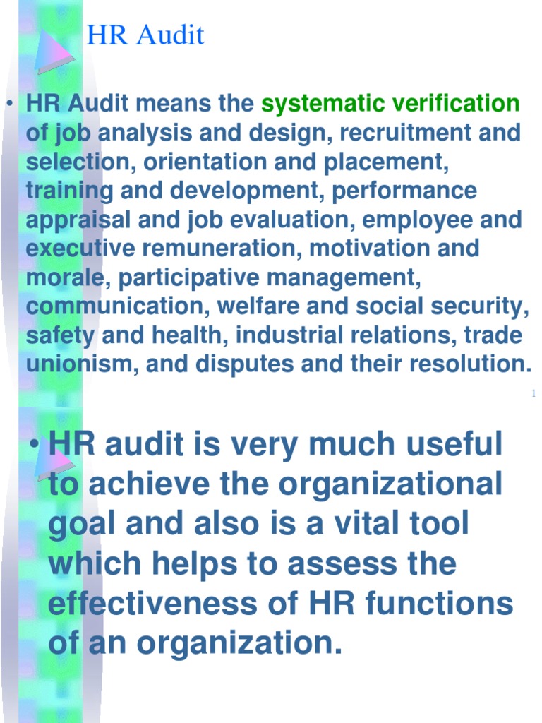 HR Audit Means The | PDF | Audit | Performance Appraisal