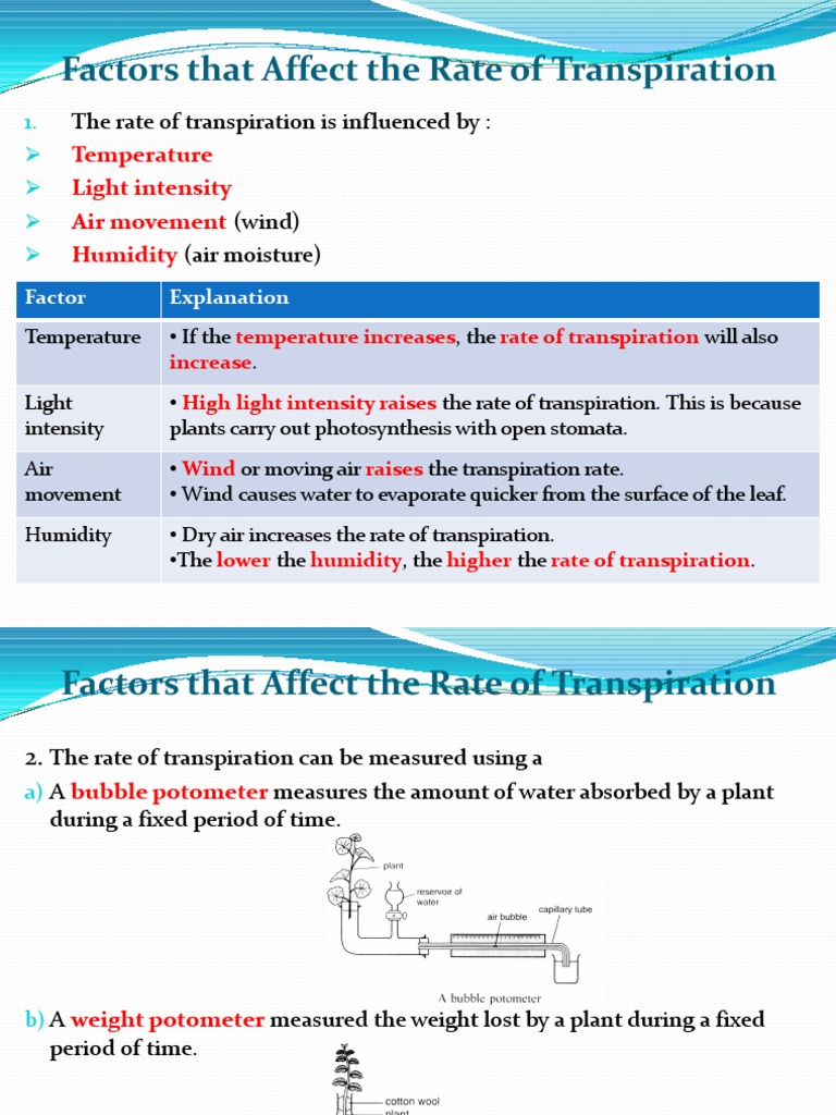 Key Factors Influencing Transpiration Rate | PDF