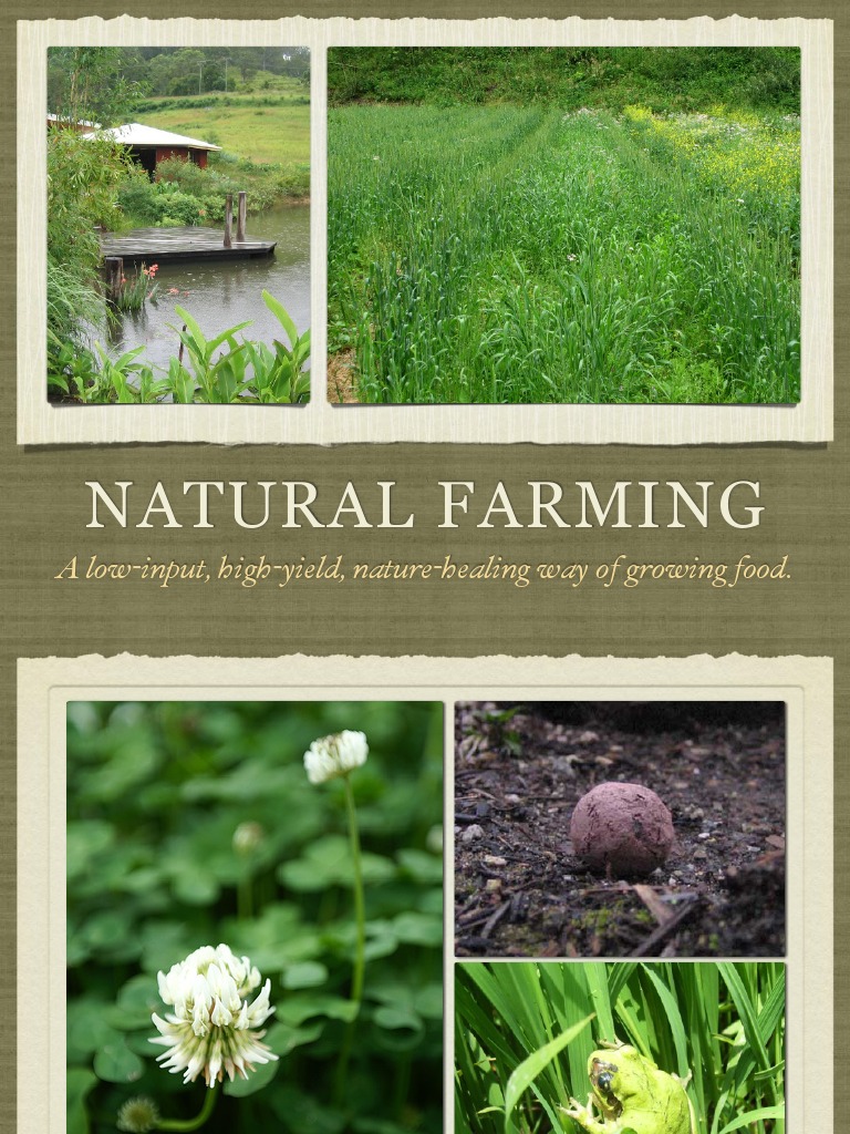 Natural Farming | PDF | Permaculture | Agriculture