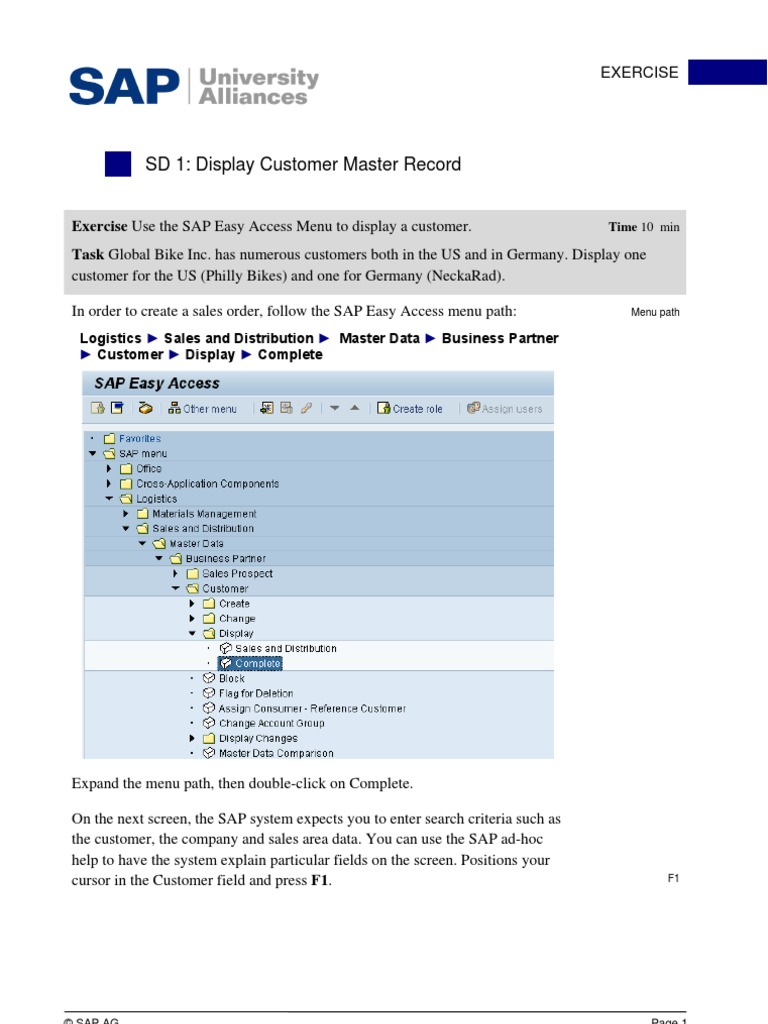 04 Intro ERP Using GBI Exercises SD (A4) en v2.01 | PDF