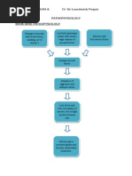 Pathophysiology of Uti | PDF | Urinary Tract Infection | Urinary Bladder