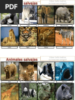 25 Imagenes Animales Salvajes Con Nombre | PDF