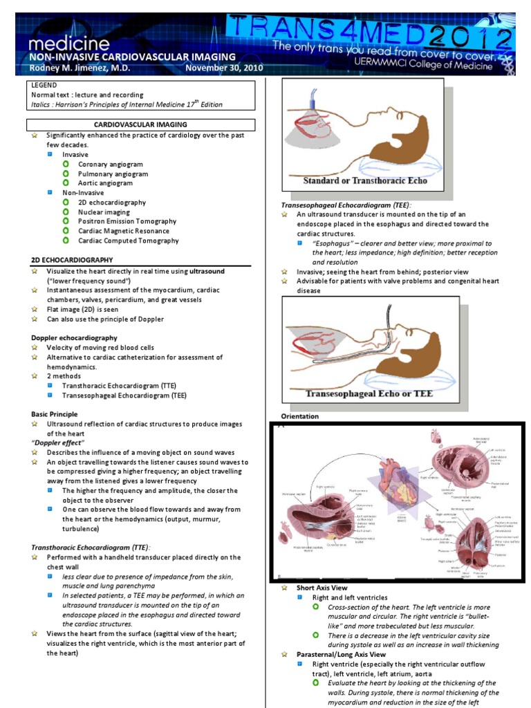 Non-Invasive Cardiac Imaging | PDF | Echocardiography | Heart
