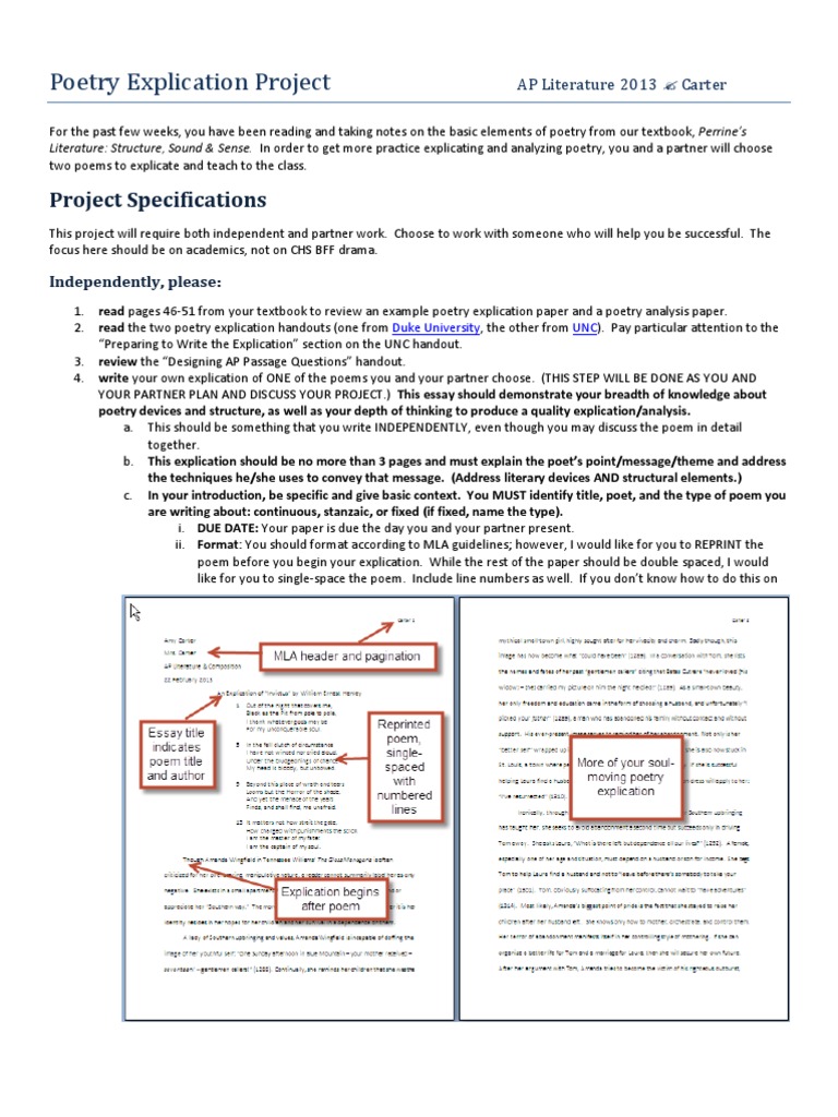 Poetry Explication Assignment 2013 | PDF | Multiple Choice | Poetry