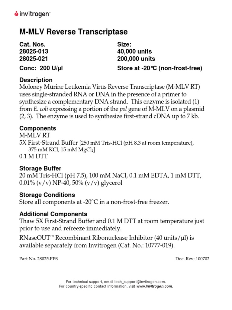 M MLV RT | PDF | Polymerase Chain Reaction | Primer (Molecular Biology)