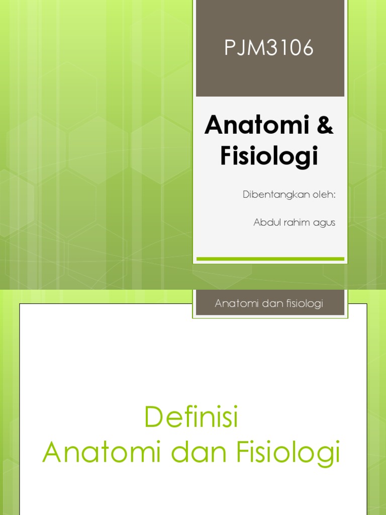 Anatomi & Fisiologi | PDF
