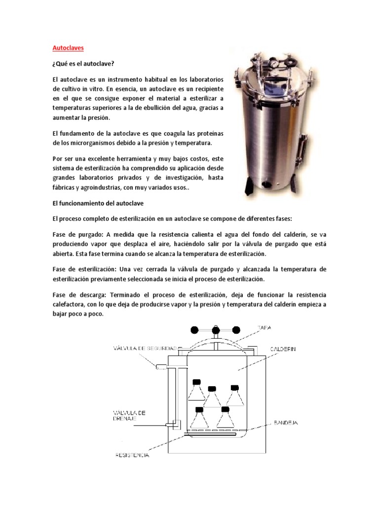 Auto Clave | PDF | Esterilización (Microbiología) | Materiales