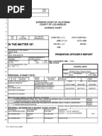 Sample Pre-Sentence Investigation Report | United States Federal ...