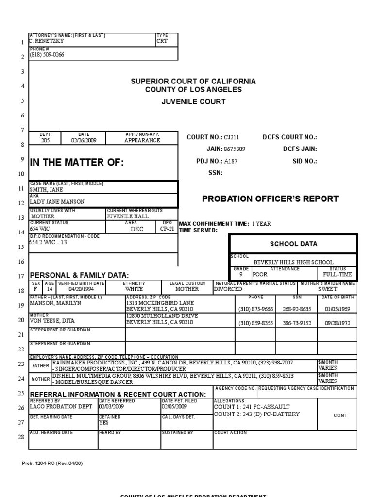 PSI Report Sample | PDF | Psychotherapy | Mental Disorder